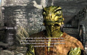 Best Skyrim Race for Mage Build - Fantasy Role-Playing Games